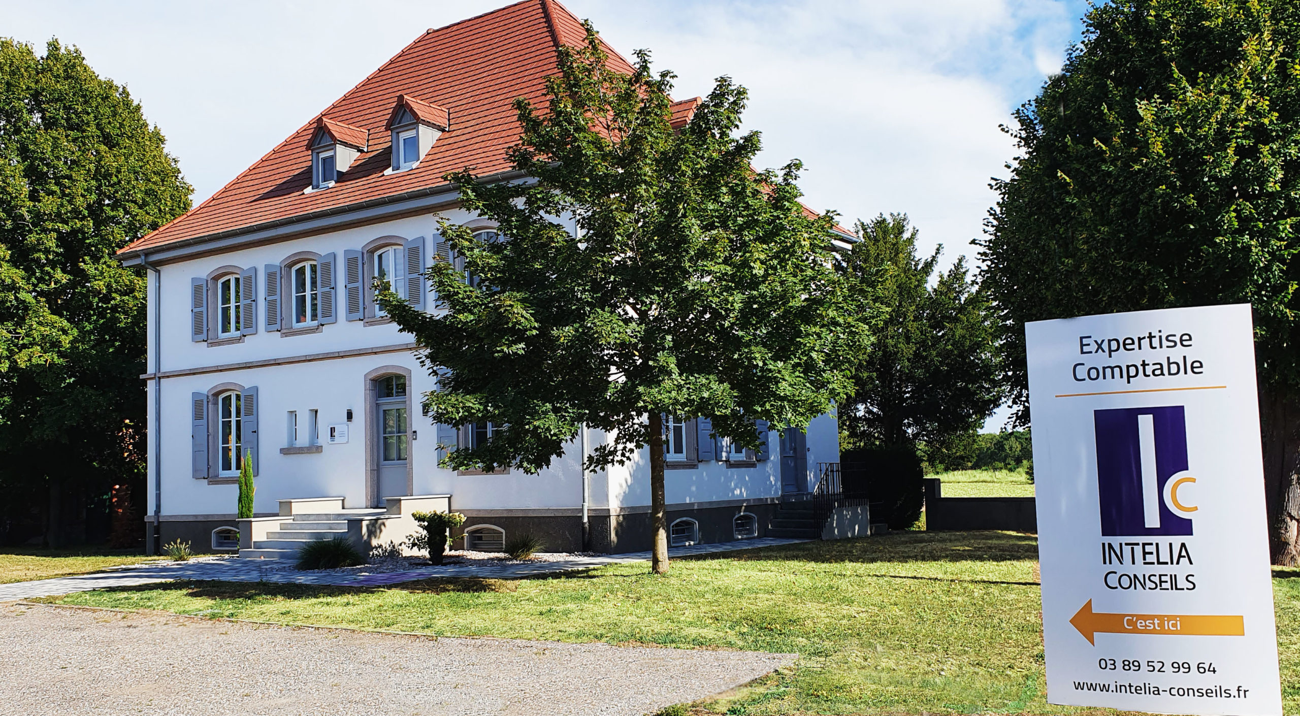 Home - INTELIA CONSEILS